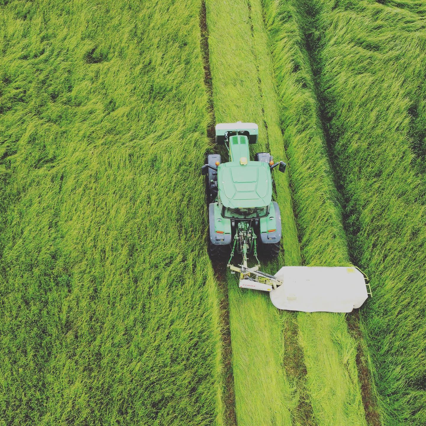 Thirsk Hall Farms | Family Run Farm North Yorkshire