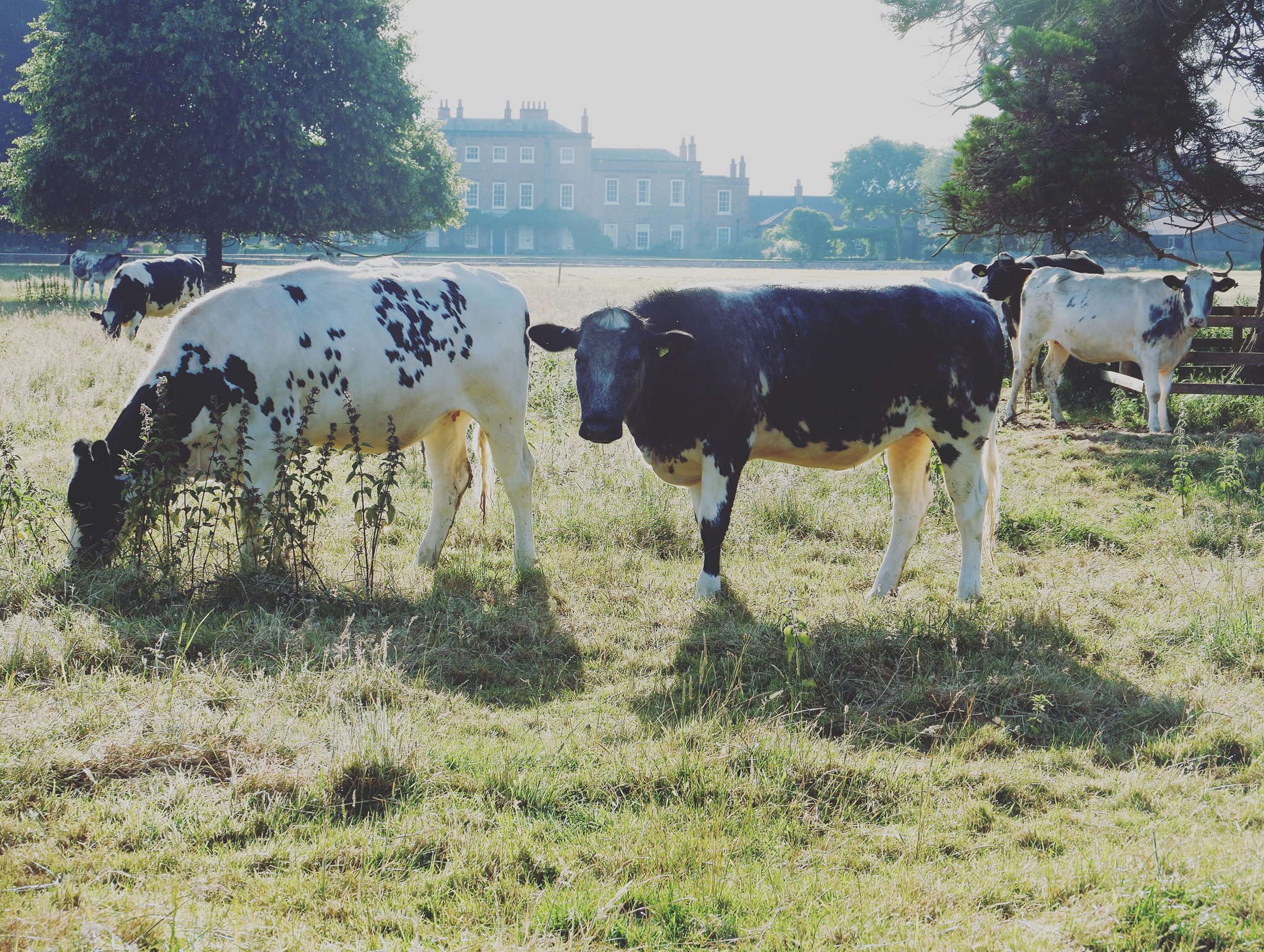 Events - Thirsk Hall Farms